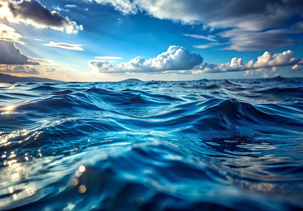 How much of the ocean has been explored? - Ocean creatures